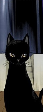 Bleach: Unyielding Heart