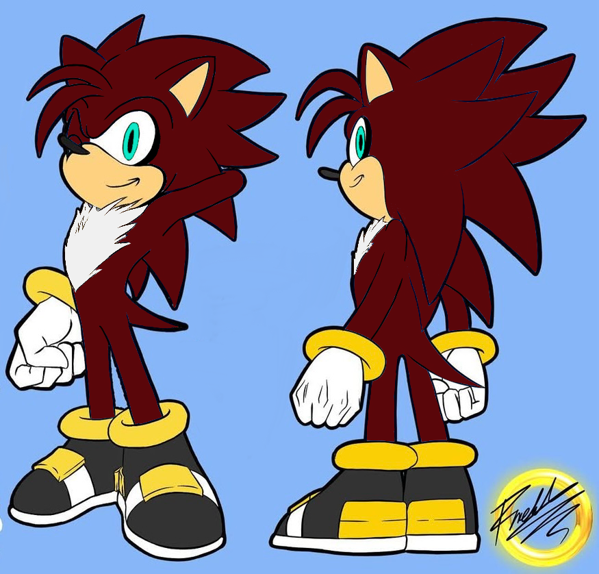 Sonic: Warped Perspective