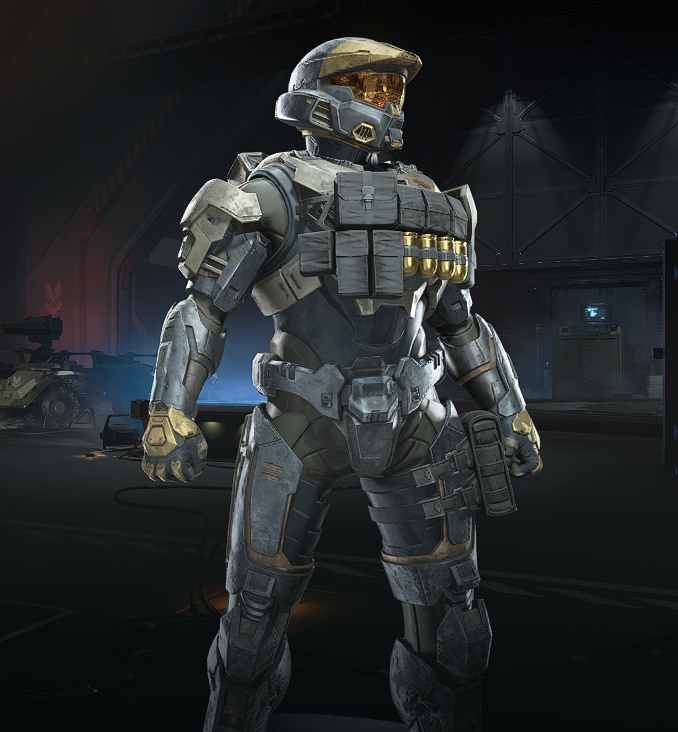 Halo Reach Armor Combinations Vanity